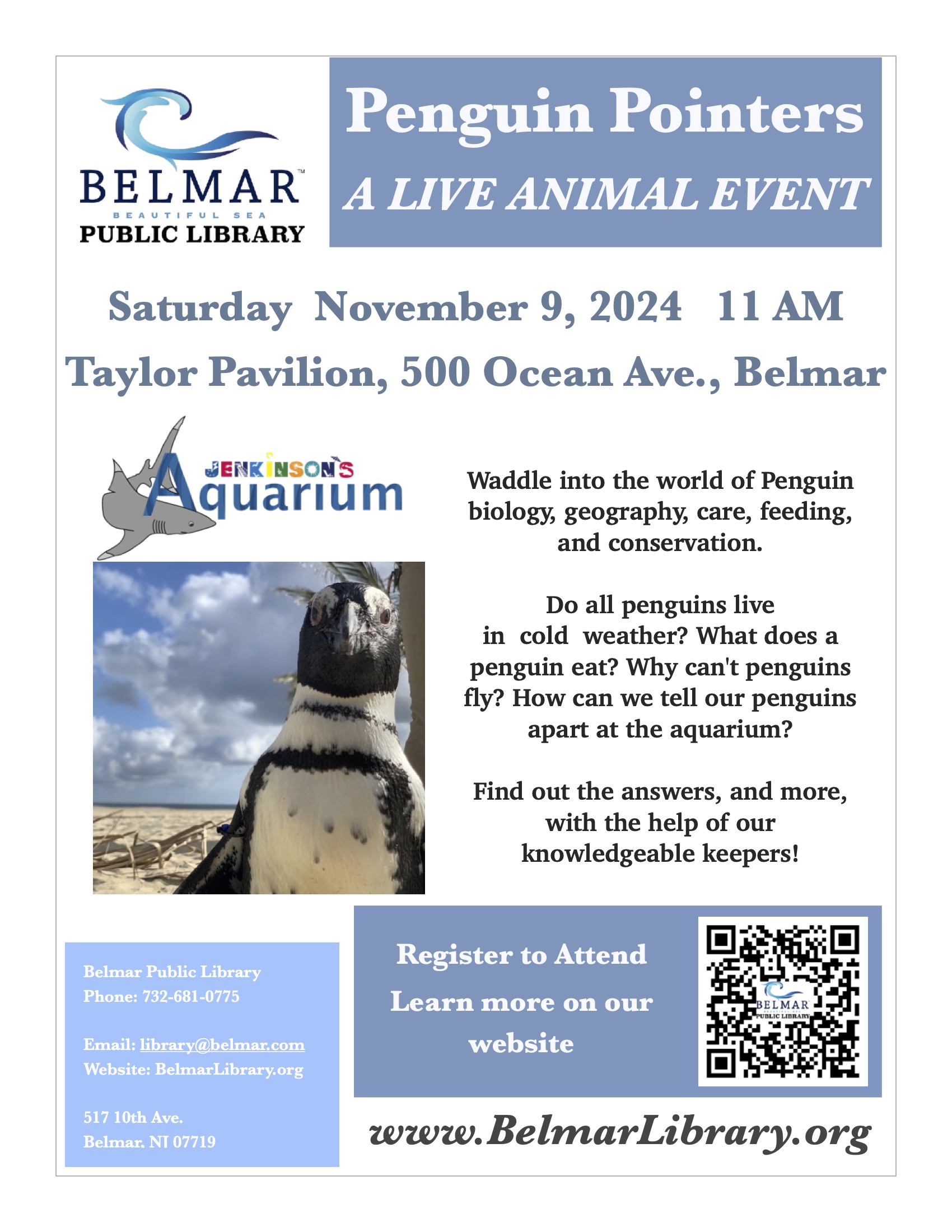 PENGUIN POINTERS – A Live Animal Event – Belmar Public Library